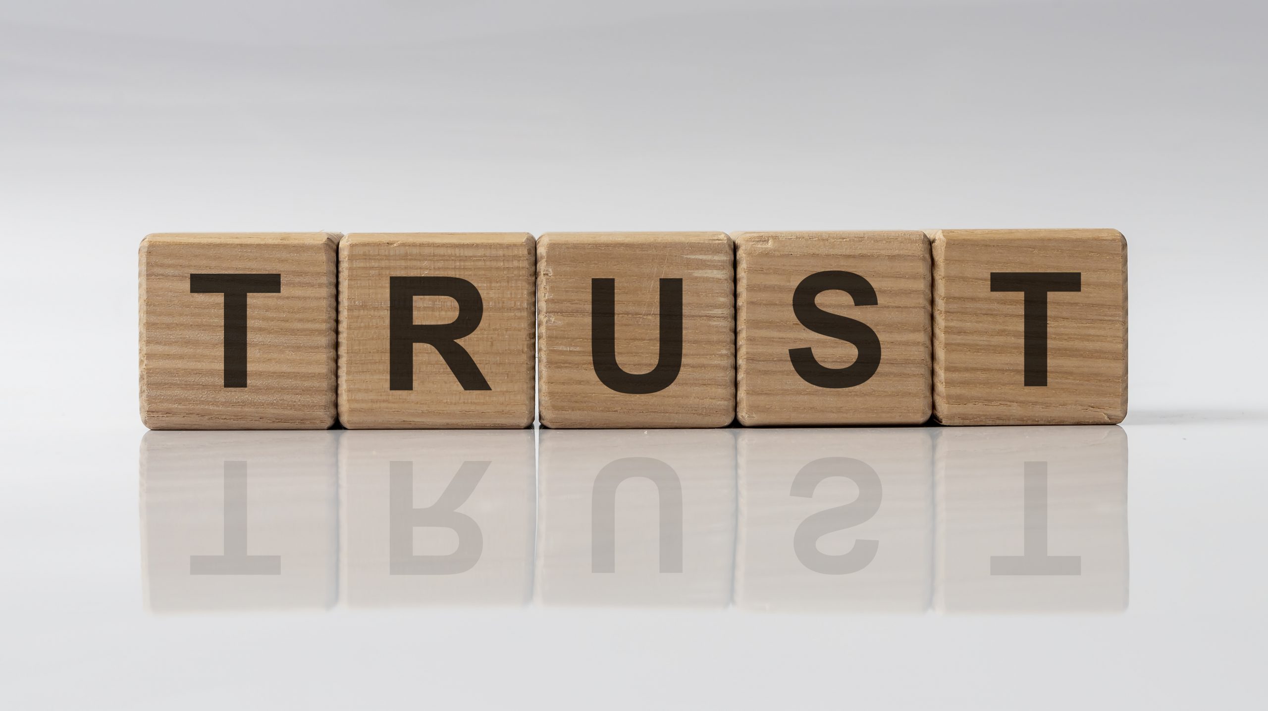 Hiring Digital Marketing Experts Requires You to Trust Us | Brick Marketing